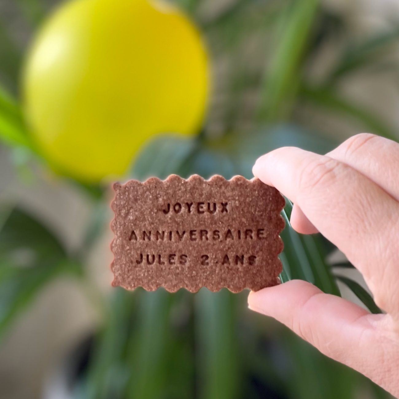 Personnalisation de biscuit : texte, photo, logo - Made in France